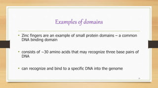 Motifs and Domains in Proteins_exp_.pptx