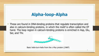 Motifs and Domains in Proteins_exp_.pptx