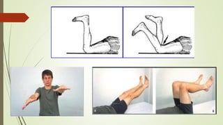 PONENCIA SOBRE MOTILIDAD | PPTX