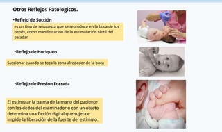 motilidad1.2 yenny, aspectos e importancias.pptx