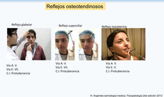 motilidad1.2 yenny, aspectos e importancias.pptx