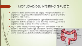 Motilidad y circulación gastrointestinal | PPTX