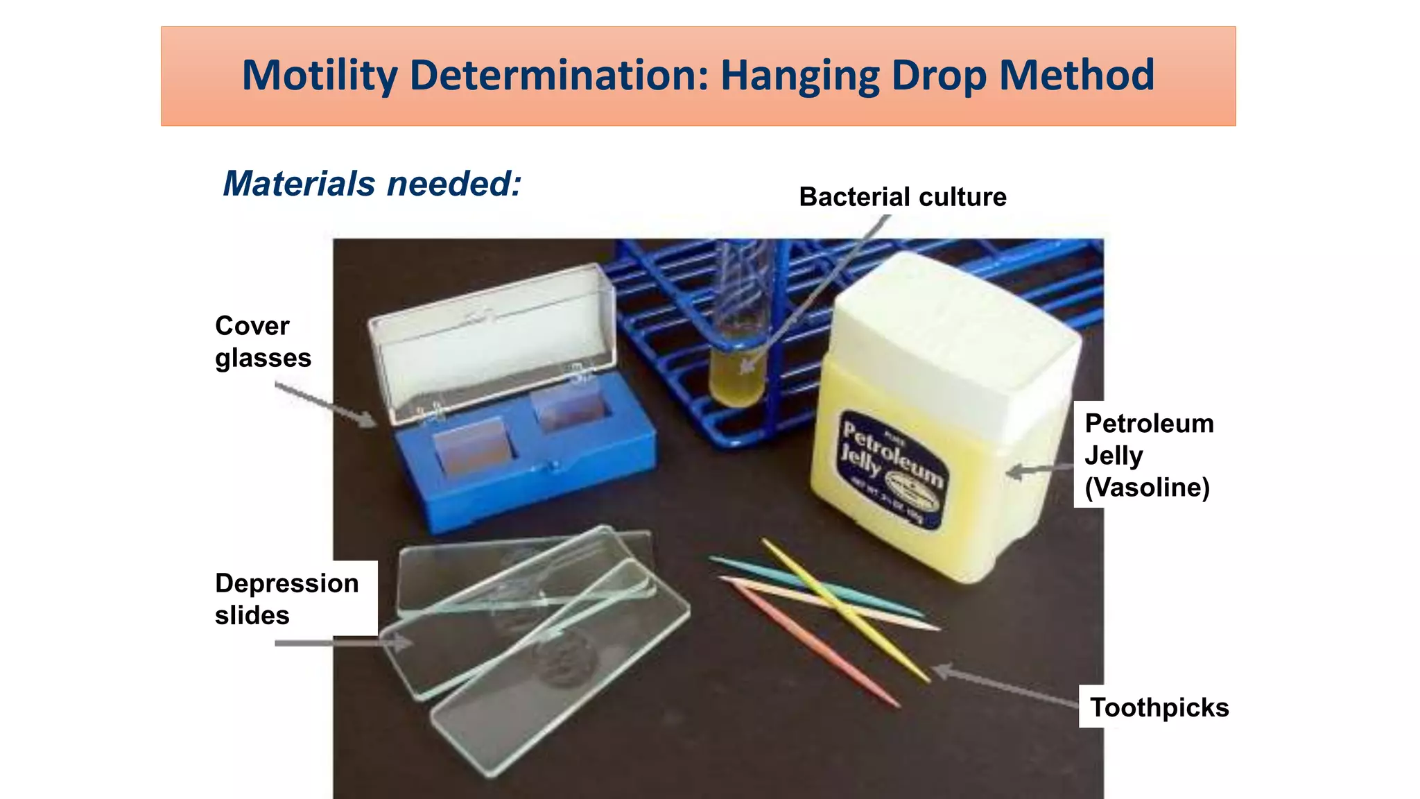 Identification of Motility Characteristics of bacteria | PPTX