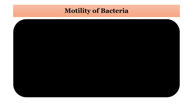 Identification of Motility Characteristics of bacteria | PPTX | Science