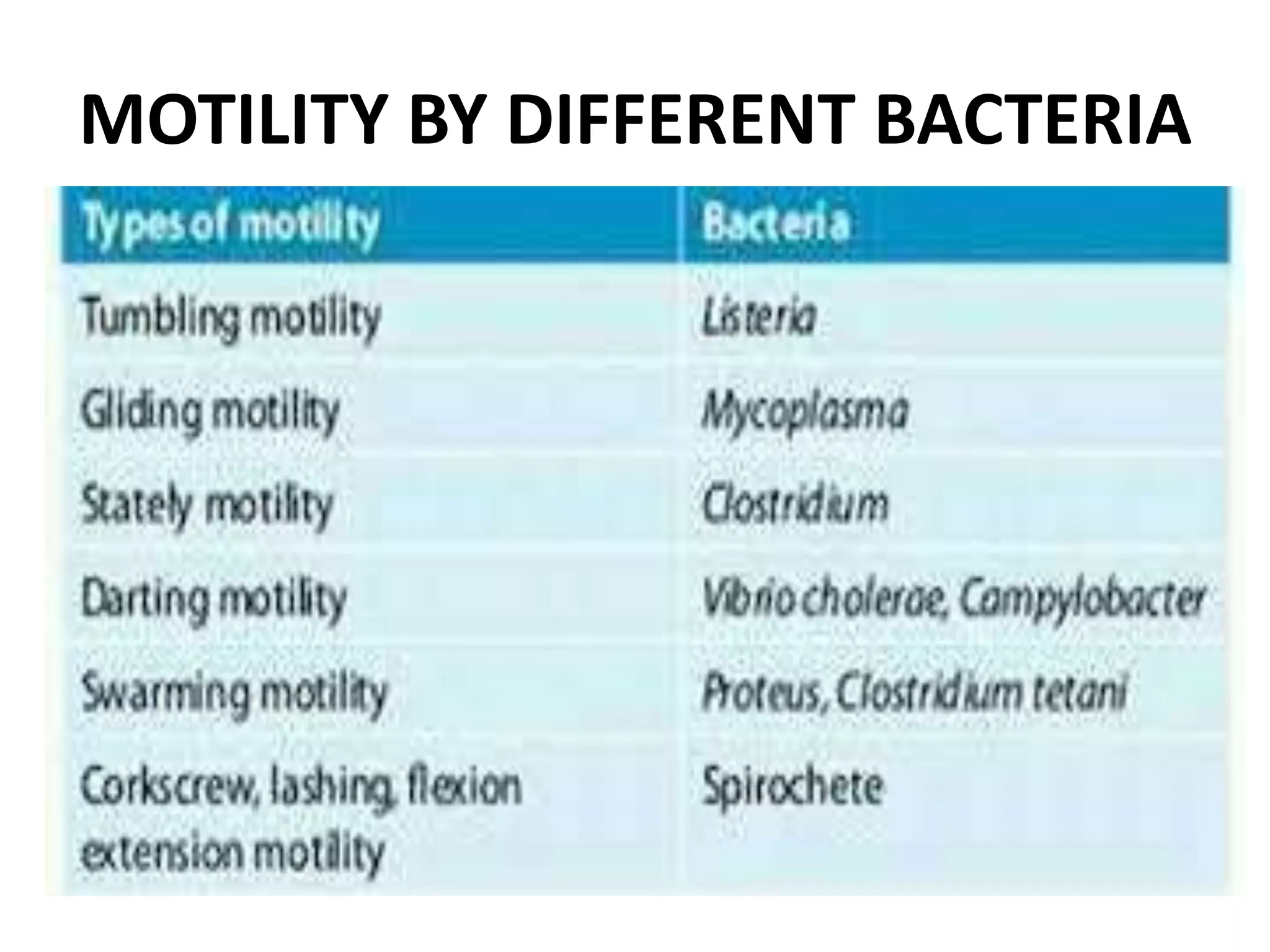 MOTILITY | PPTX