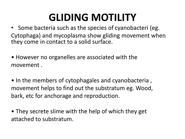 MOTILITY | PPTX | Biological Sciences | Science