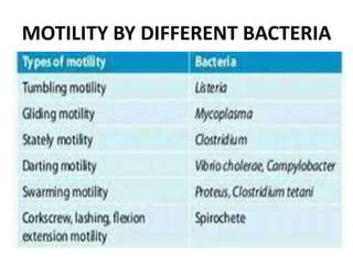 MOTILITY | PPTX