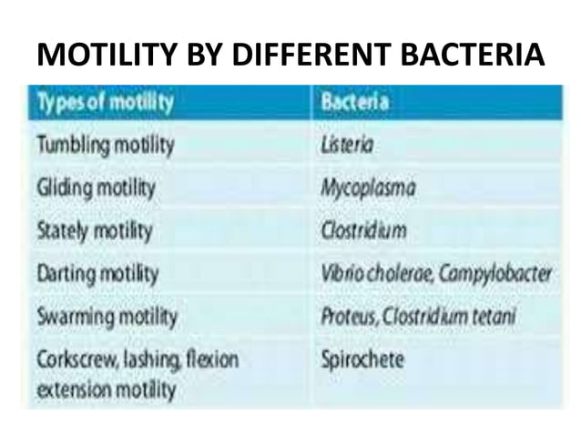 MOTILITY | PPTX | Biological Sciences | Science