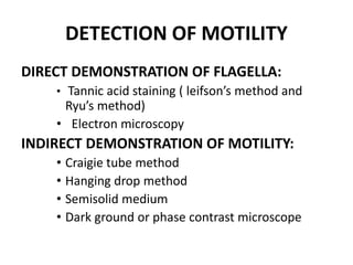 MOTILITY | PPTX