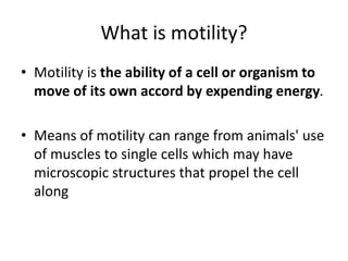 MOTILITY | PPTX