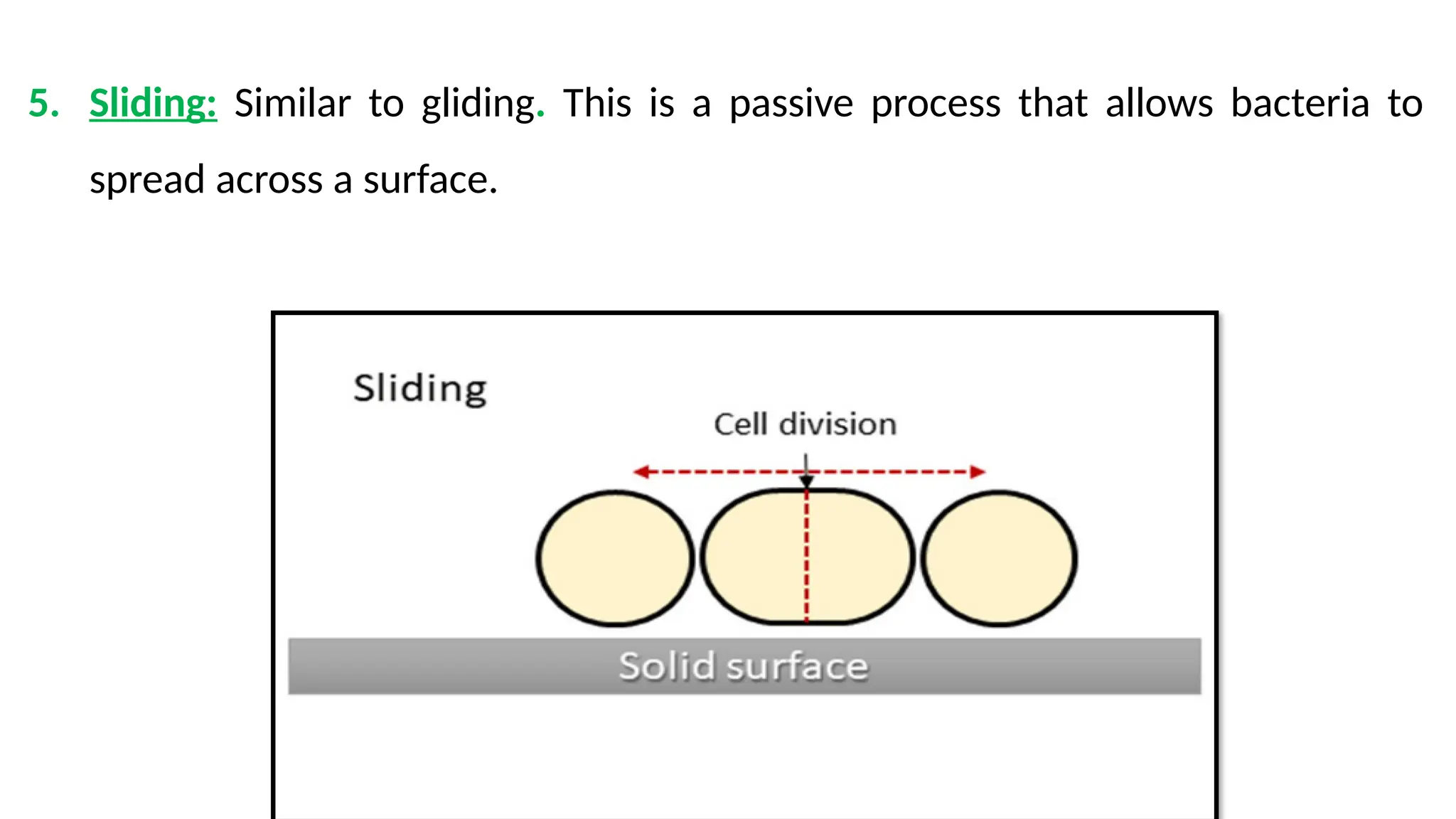 motility in microbiology .pptx