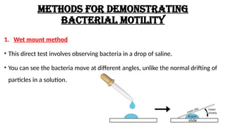 motility in microbiology .pptx
