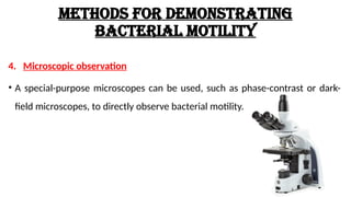 motility in microbiology .pptx