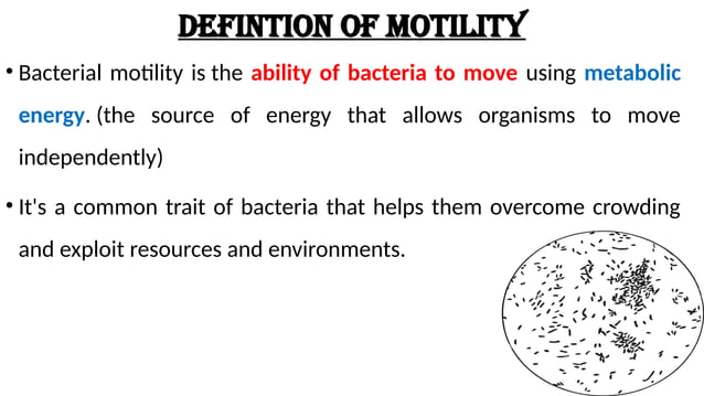 motility in microbiology .pptx