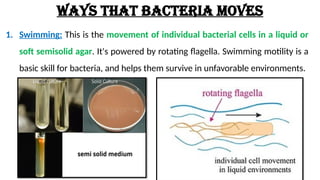 motility in microbiology .pptx