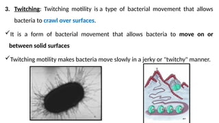 motility in microbiology .pptx