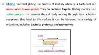 motility in microbiology .pptx