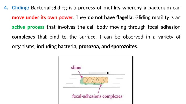 motility in microbiology .pptx
