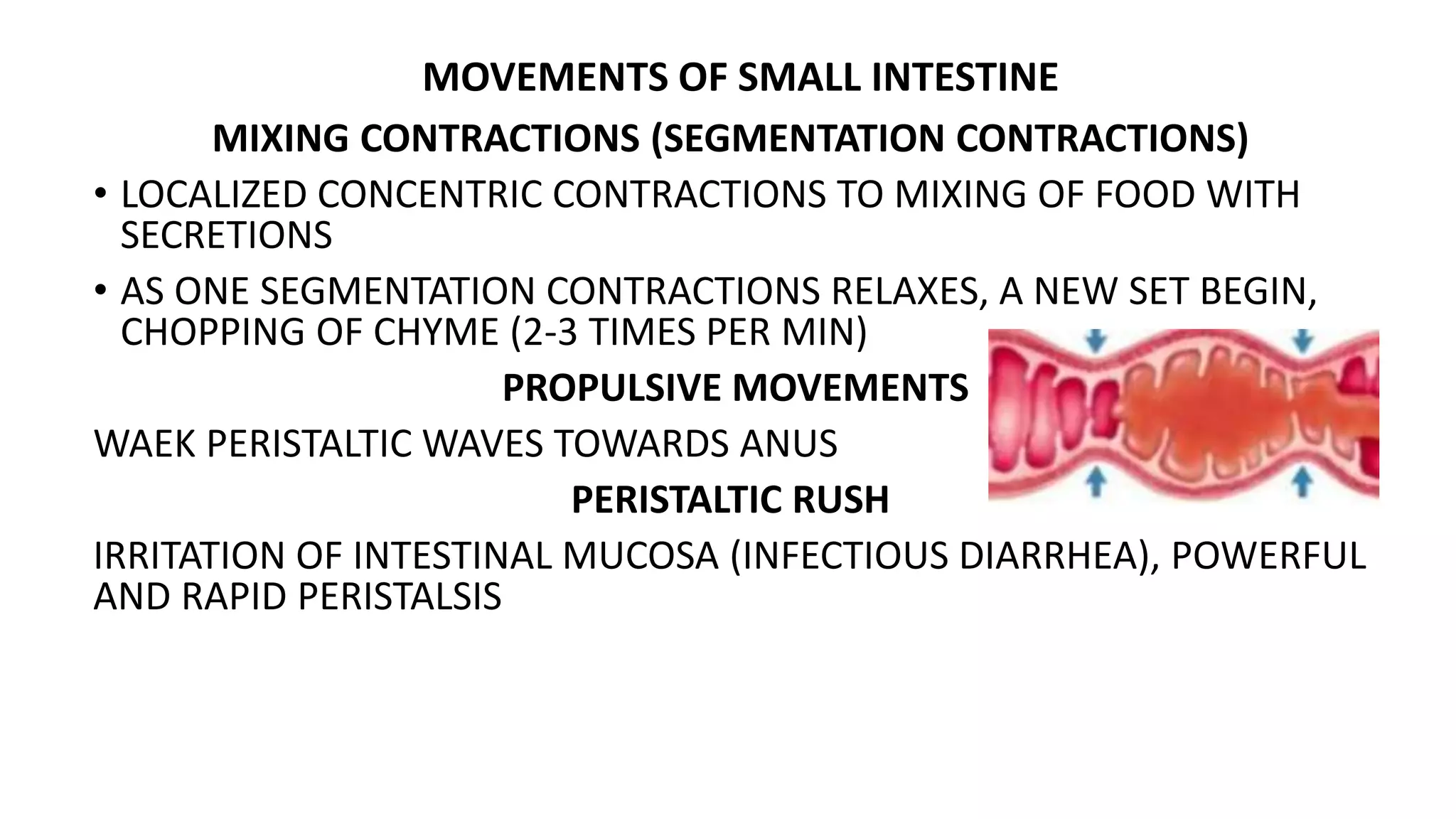 Motility in the alimentary tract | PPT