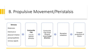 Motility of large intestine_Mass movement and defecation | PDF