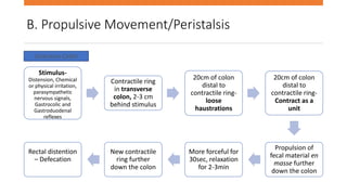 Motility of large intestine_Mass movement and defecation | PDF