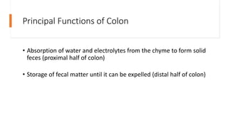 Motility of large intestine_Mass movement and defecation | PDF