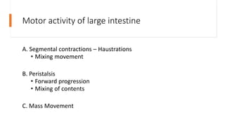 Motility of large intestine_Mass movement and defecation | PDF