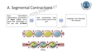Motility of large intestine_Mass movement and defecation | PDF