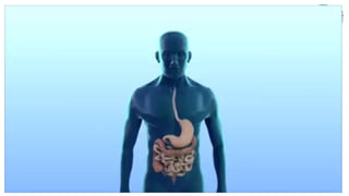 Motility of large intestine_Mass movement and defecation | PDF