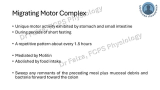 Motility of Small Intestine -Physiology of Peristalsis and segmentation ...