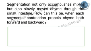 Motility of Small Intestine -Physiology of Peristalsis and segmentation ...