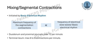 Motility of Small Intestine -Physiology of Peristalsis and segmentation ...