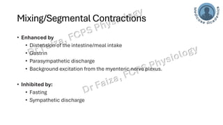 Motility of Small Intestine -Physiology of Peristalsis and segmentation ...