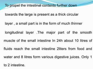 Motility OF SMALL INTESTINE, Malabsorbtion and diarrhoea.pptx