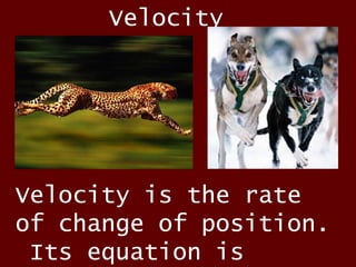 Motion Commotion! | PPT