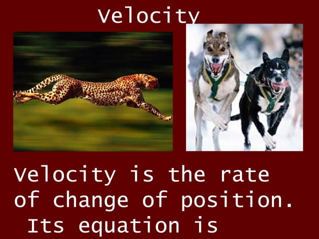 Motion Commotion! | PPT