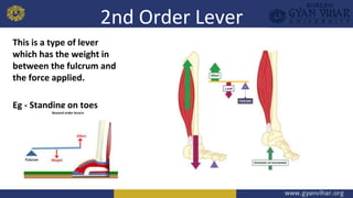 Motion,Force and Levers .pptx