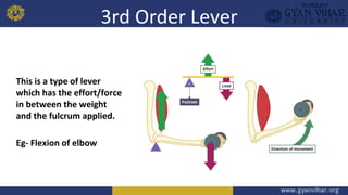 Motion,Force and Levers .pptx