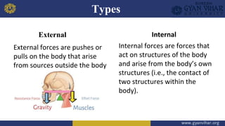 Motion,Force and Levers .pptx