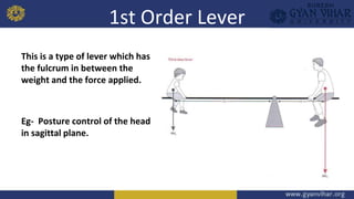 Motion,Force and Levers .pptx