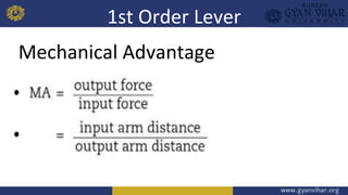 Motion,Force and Levers .pptx