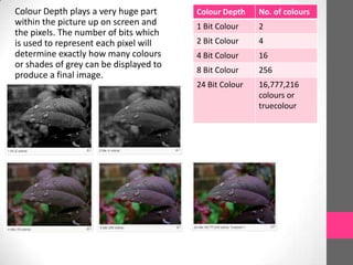 Motion graphics glossary | PPT