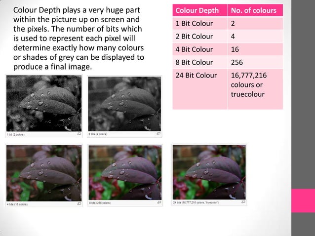 Motion graphics glossary | PPT