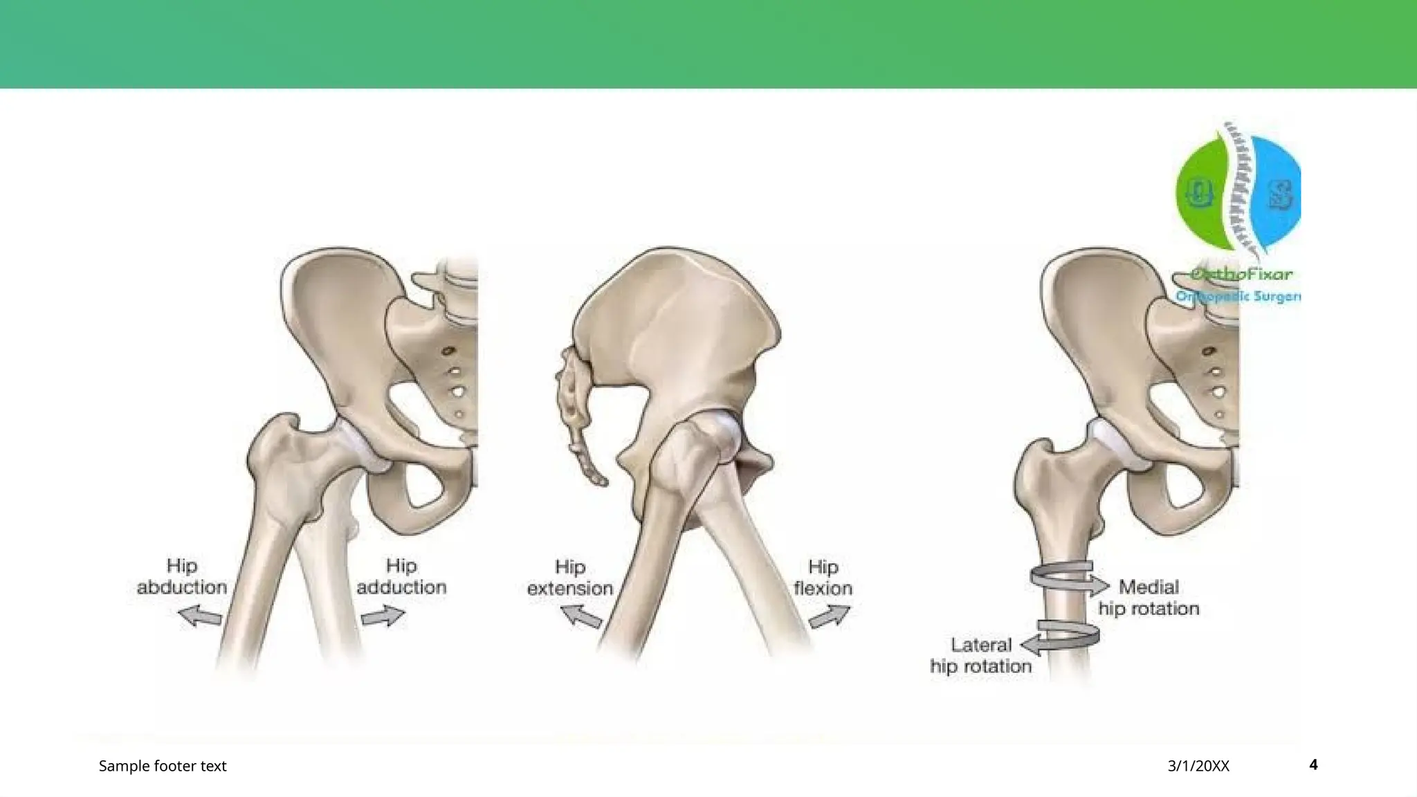 kinesiology MOTION OF FEMUR ON PELVIS final .pptx