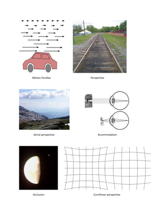 Motion parallax perspective | PDF