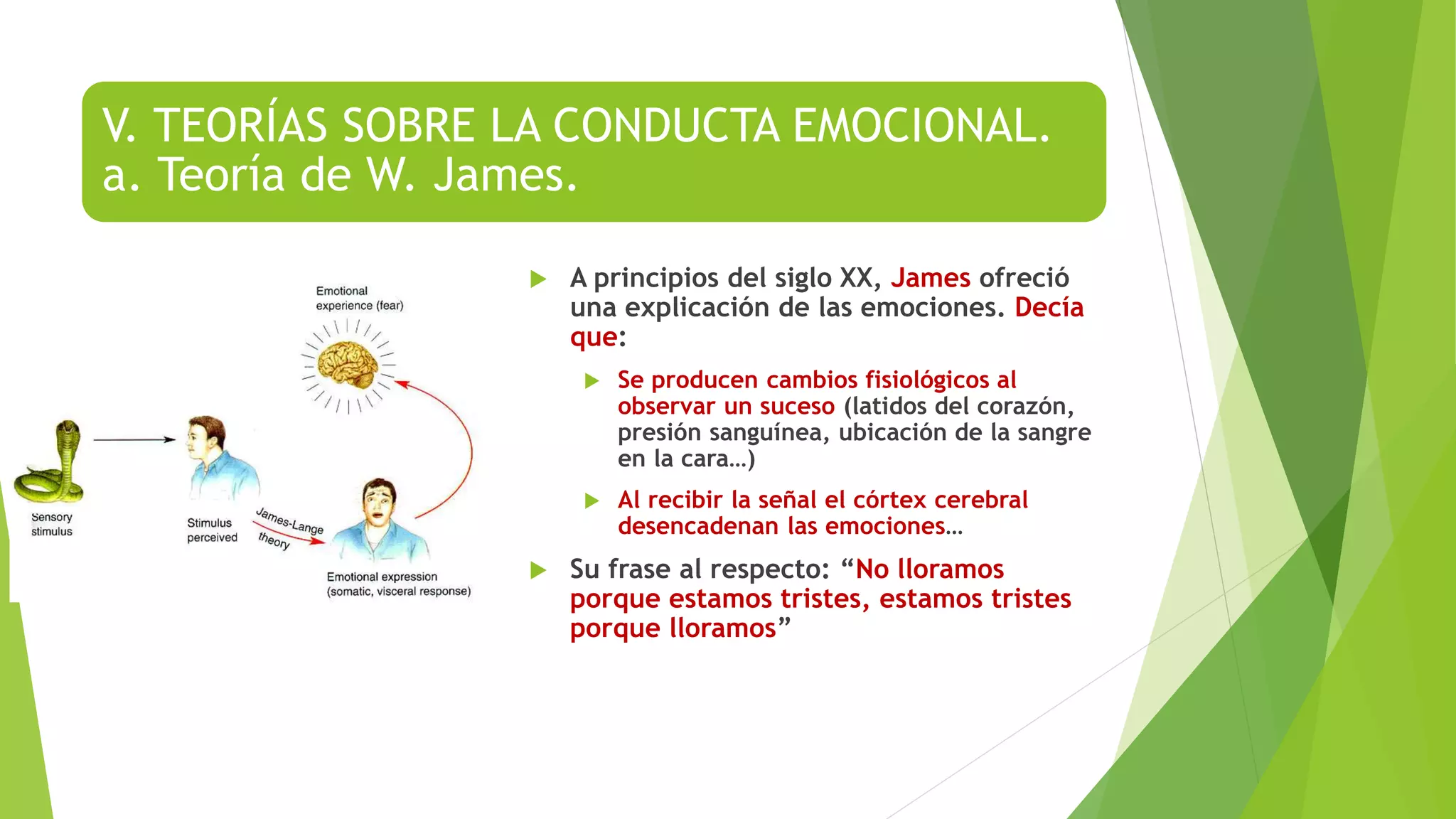 Motivación y emociones | PPTX