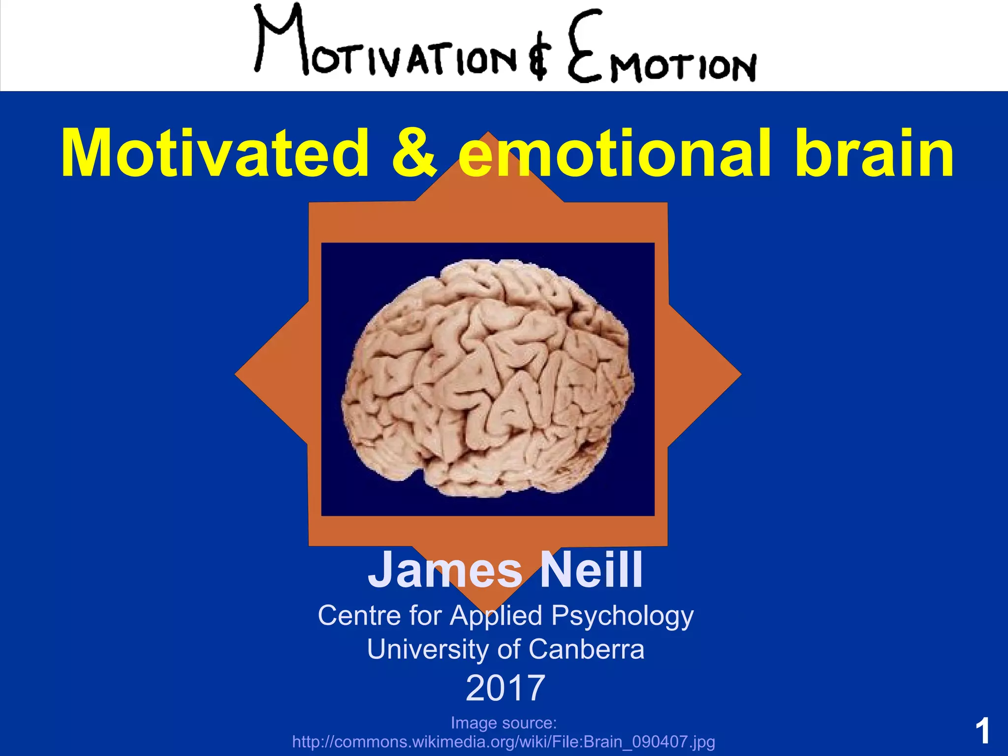 Motivated and emotional brain | ODP