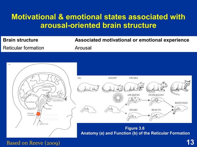 Motivated and emotional brain | ODP