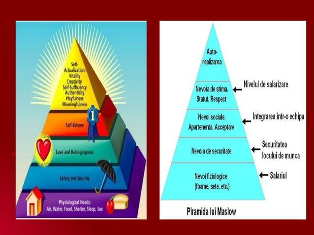 motivatia muncii - nevoi și motivație.ppt