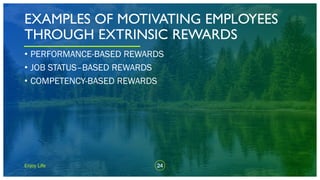 Motivating and rewarding employee performance | PDF